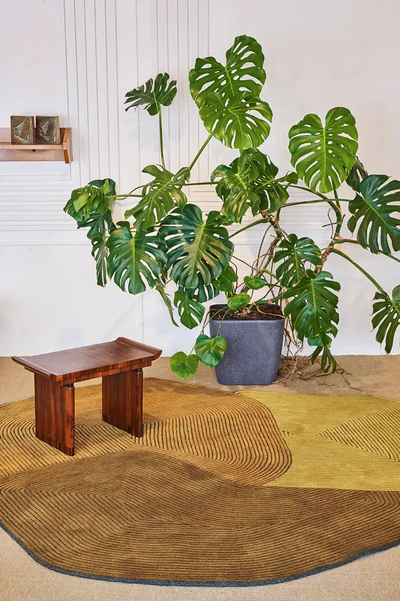 Modern TERRA CURVE Tufted Rugs – Artisan Craftsmanship